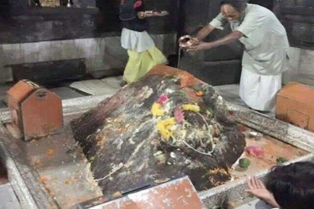 Kedarnath Shivling: Original Photo, History, Inside Story